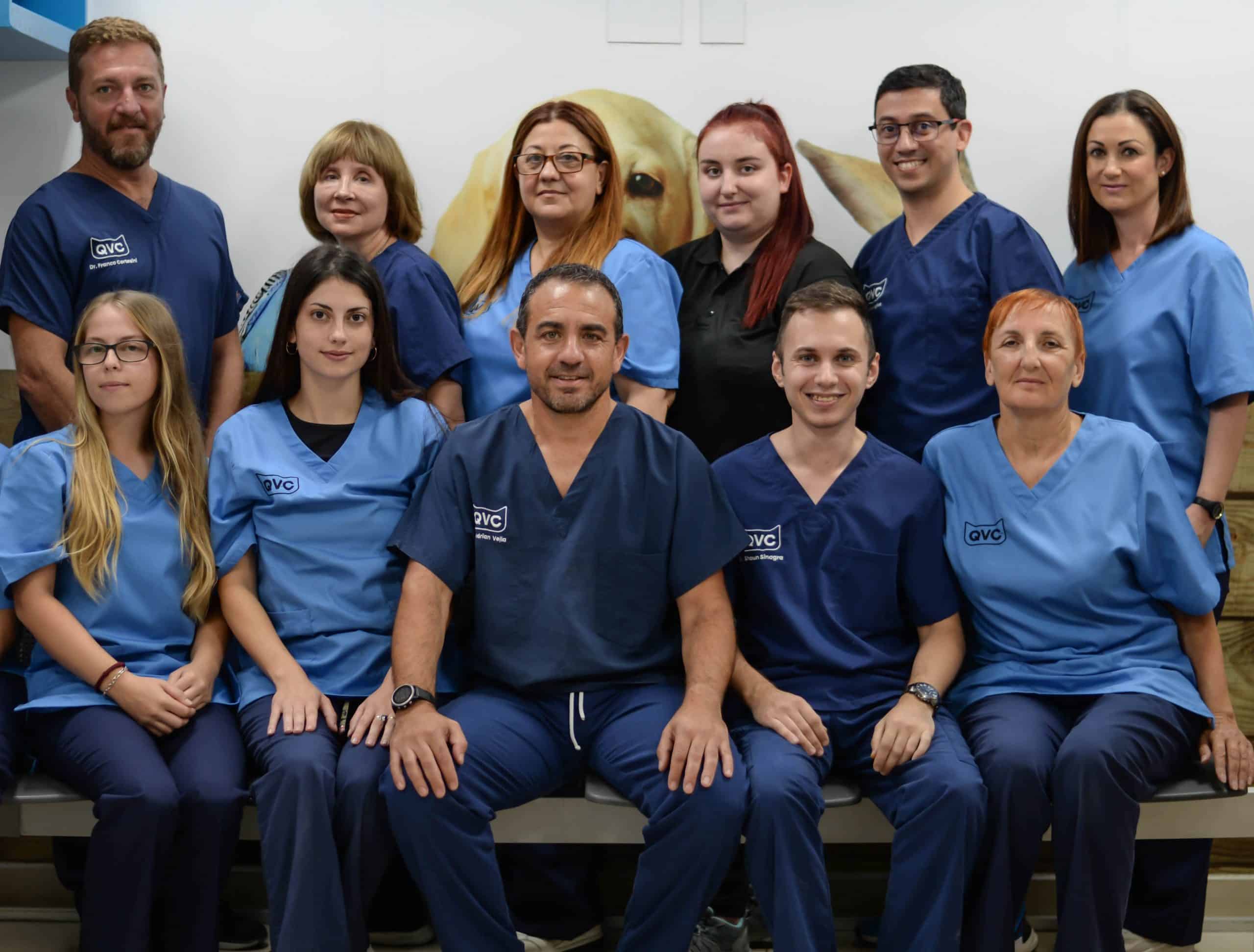 QVC Vets - Where Quality Meets Animal Care